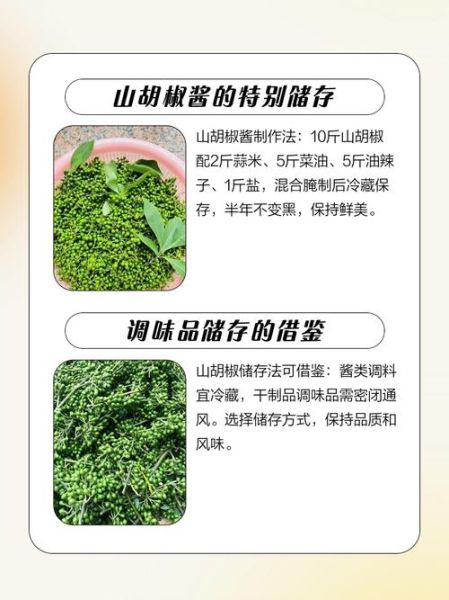 山胡椒的功效与作用_山胡椒怎么吃效果最好-第1张图片-山城妙识