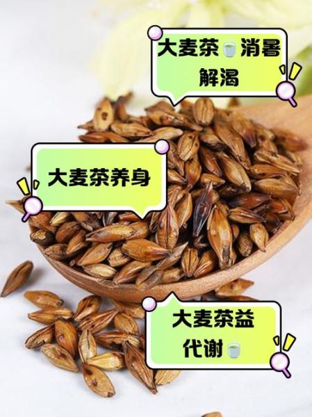 大麦茶能减肥吗_大麦茶的功效与作用-第1张图片-山城妙识