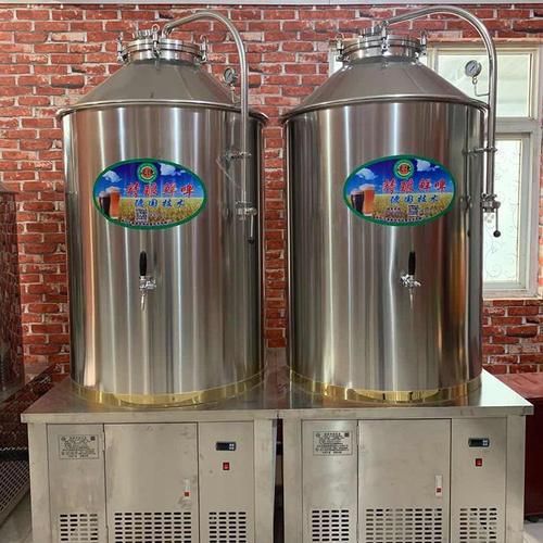 自酿啤酒设备多少钱_家用小型自酿啤酒机价格-第3张图片-山城妙识