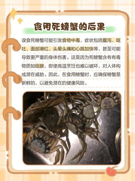 半死不活的螃蟹能吃吗_如何判断螃蟹新鲜度-第1张图片-山城妙识