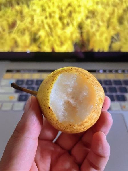 南果梨热量是多少_减肥能吃吗-第3张图片-山城妙识 南果梨热量是多少_减肥能吃吗-第3张图片-山城妙识