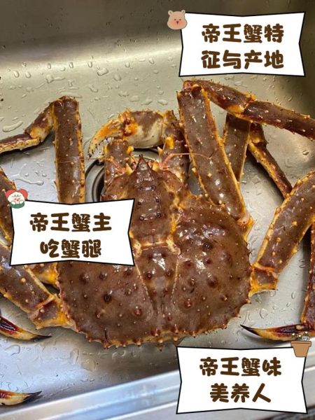 阳澄湖帝王蟹多少钱一只_如何挑选正宗阳澄湖帝王蟹-第1张图片-山城妙识