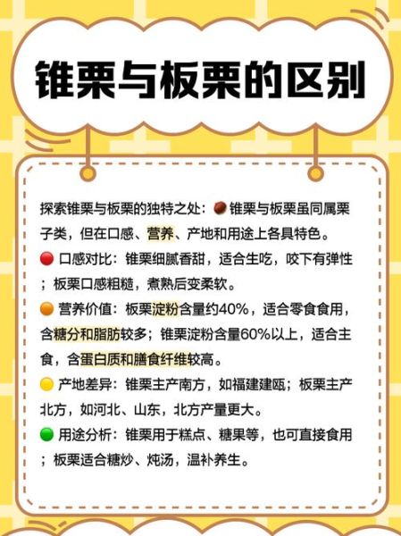 锥栗为什么比板栗贵_锥栗和板栗的区别-第1张图片-山城妙识 锥栗为什么比板栗贵_锥栗和板栗的区别-第1张图片-山城妙识