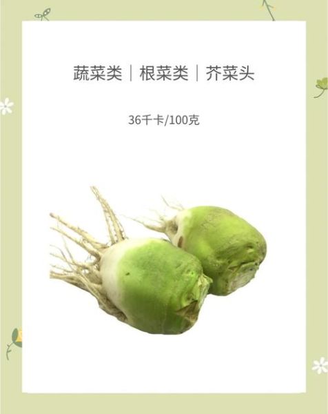 芥菜头长什么样子_芥菜头图片怎么认-第1张图片-山城妙识 芥菜头长什么样子_芥菜头图片怎么认-第1张图片-山城妙识