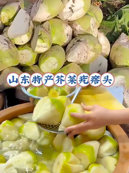 芥菜头长什么样子_芥菜头图片怎么认-第2张图片-山城妙识 芥菜头长什么样子_芥菜头图片怎么认-第2张图片-山城妙识