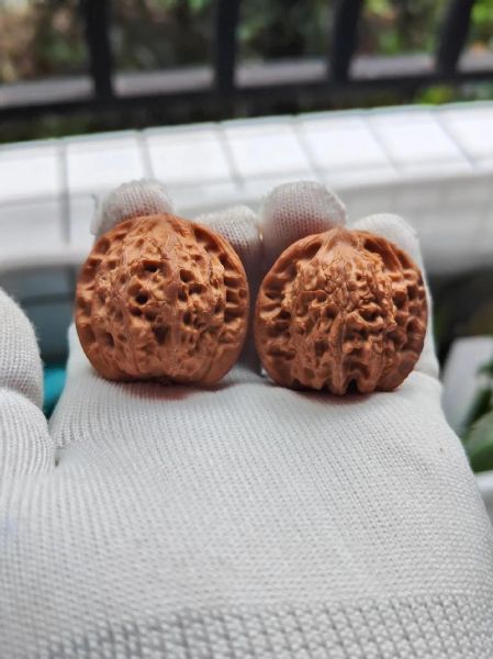 狮子头核桃多少钱一对_狮子头核桃价格表-第1张图片-山城妙识