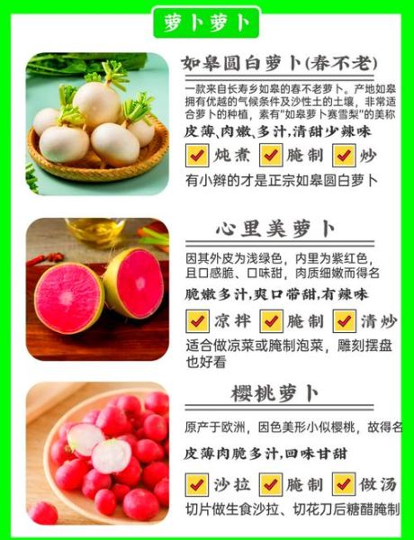 白萝卜不能和什么一起吃_哪些人不能吃白萝卜-第1张图片-山城妙识