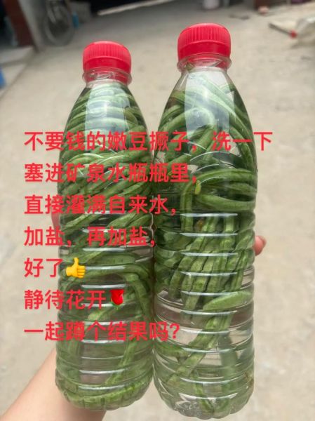 豇豆怎么腌制_家常做法步骤-第3张图片-山城妙识 豇豆怎么腌制_家常做法步骤-第3张图片-山城妙识