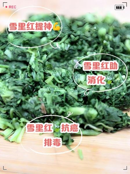 雪里红什么人不能吃_雪里红禁忌人群有哪些-第3张图片-山城妙识