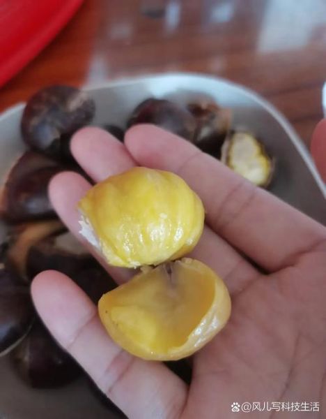 板栗吃了会胖吗_减肥能吃板栗吗-第1张图片-山城妙识 板栗吃了会胖吗_减肥能吃板栗吗-第1张图片-山城妙识