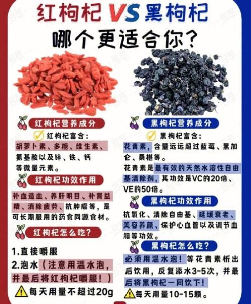 黑枸杞的功效与作用及禁忌_黑枸杞泡水喝的正确方法-第3张图片-山城妙识