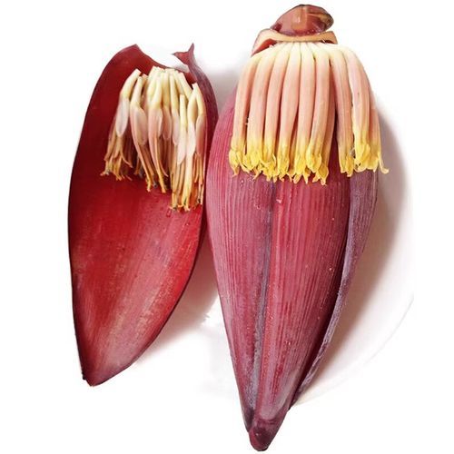 芭蕉花图片_如何识别真假芭蕉花-第2张图片-山城妙识