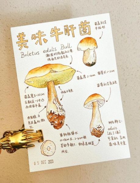 蘑菇怎么画简单又好看_蘑菇绘画步骤详解-第1张图片-山城妙识