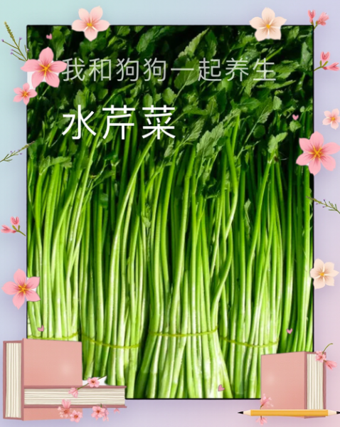 水芹菜有寄生虫吗_水芹菜怎么洗才干净-第3张图片-山城妙识