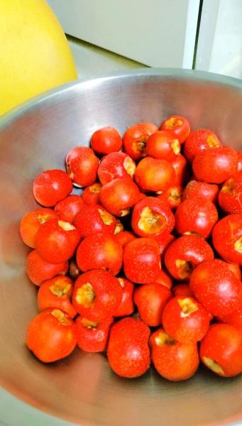 山楂做菜的做法大全_山楂怎么做好吃-第1张图片-山城妙识