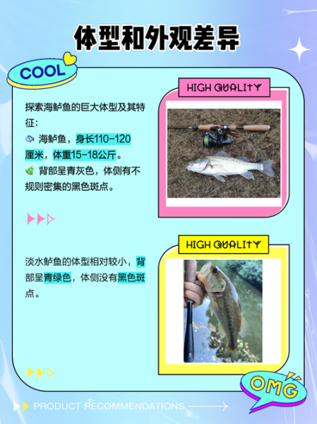 海鲈鱼和河鲈鱼哪个好吃_口感营养大比拼-第2张图片-山城妙识