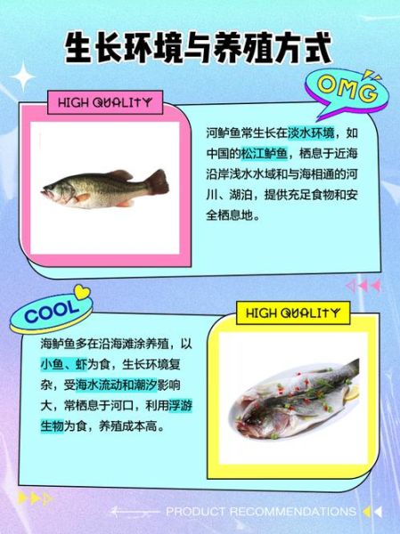 海鲈鱼和河鲈鱼哪个好吃_口感营养大比拼-第3张图片-山城妙识