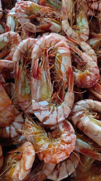 对虾怎么吃最好吃_对虾怎么剥壳最快-第3张图片-山城妙识 对虾怎么吃最好吃_对虾怎么剥壳最快-第3张图片-山城妙识