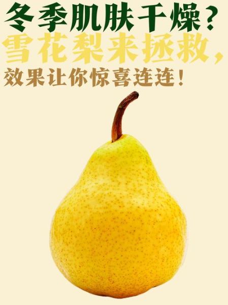 雪花梨是什么梨_雪花梨和鸭梨的区别-第3张图片-山城妙识 雪花梨是什么梨_雪花梨和鸭梨的区别-第3张图片-山城妙识