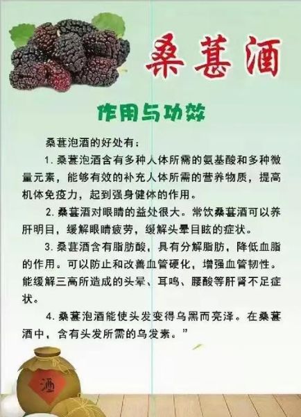 桑葚泡酒的做法_桑葚泡酒的功效与禁忌-第1张图片-山城妙识