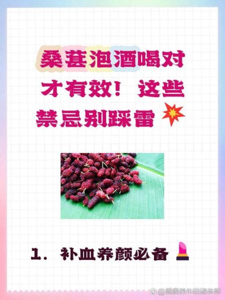 桑葚泡酒的做法_桑葚泡酒的功效与禁忌-第3张图片-山城妙识