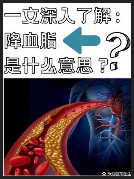 胆固醇高是什么原因_胆固醇高怎么降下来-第3张图片-山城妙识