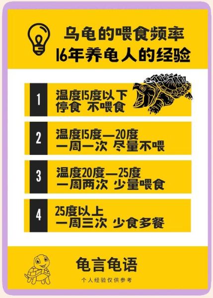 养乌龟的六大禁忌_新手最容易犯的错误-第1张图片-山城妙识 养乌龟的六大禁忌_新手最容易犯的错误-第1张图片-山城妙识