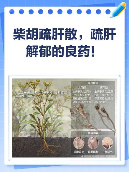 柴胡疏肝散方歌功效与作用_柴胡疏肝散适合哪些人-第2张图片-山城妙识