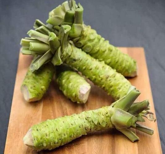 黄芥末和绿芥末的区别_哪个更辣-第1张图片-山城妙识