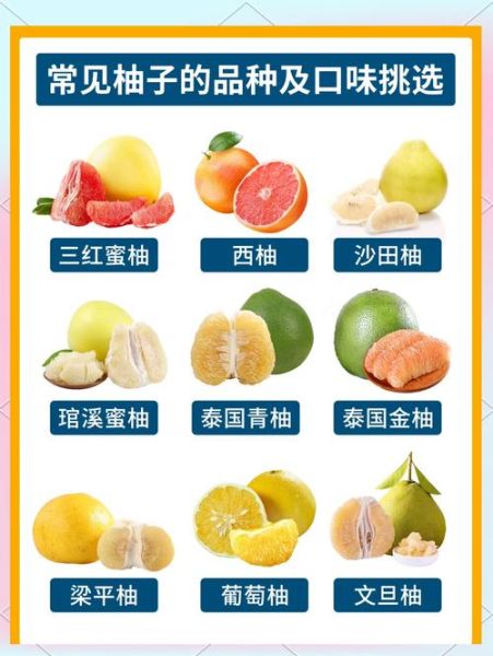 柚子的营养价值有哪些_吃柚子能减肥吗-第3张图片-山城妙识