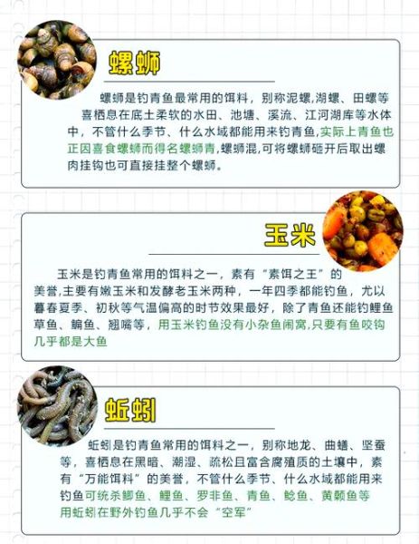 青鱼怎么钓_青鱼钓法技巧-第3张图片-山城妙识