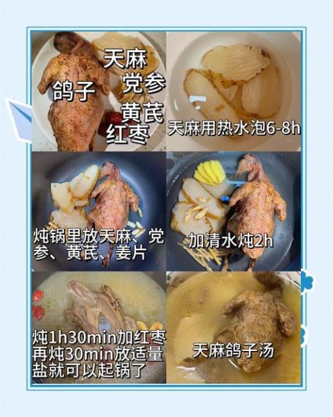 天麻炖鸽子怎么做_天麻炖鸽子功效与禁忌-第1张图片-山城妙识