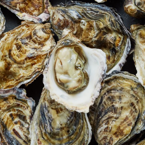 牡蛎图片大全大图_牡蛎高清图鉴怎么拍-第1张图片-山城妙识