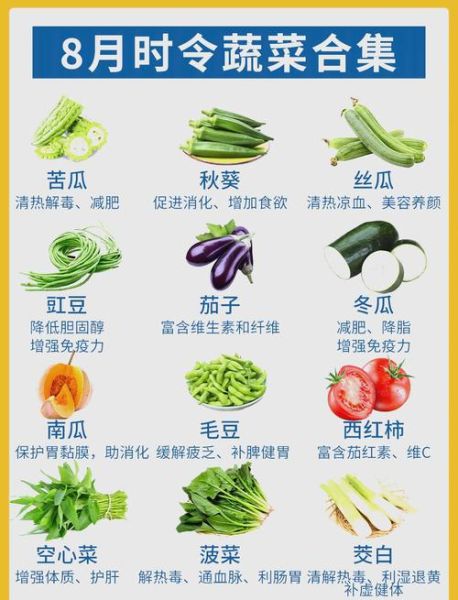 蔬菜六大类有哪些_如何科学搭配每日膳食-第1张图片-山城妙识