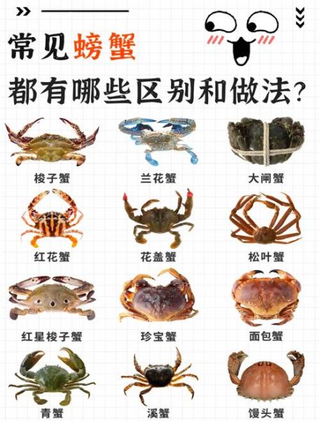 螃蟹有哪些品种_常见蟹类大全-第2张图片-山城妙识