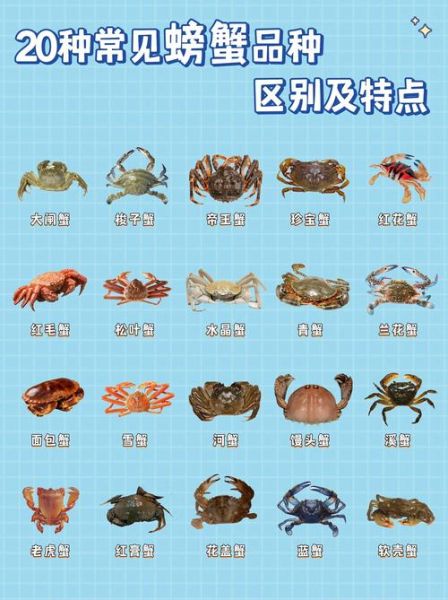 螃蟹有哪些品种_常见蟹类大全-第1张图片-山城妙识
