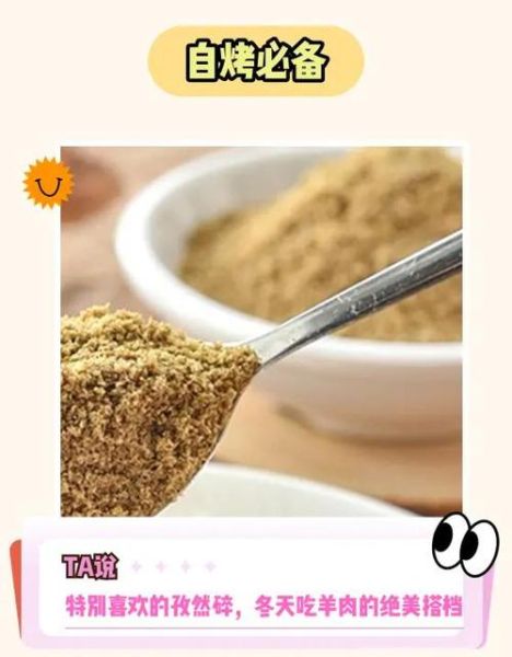 孜然粉怎么读_孜然粉的正确发音是什么-第3张图片-山城妙识