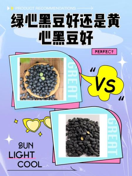 黑豆绿心黄心哪个补肾_绿心黑豆补肾效果好吗-第3张图片-山城妙识