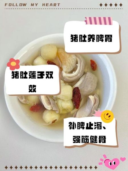 猪肚汤有什么功效_猪肚汤适合什么人喝-第2张图片-山城妙识