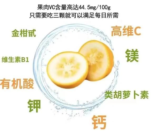 金桔怎么吃_金桔的吃法有哪些-第1张图片-山城妙识