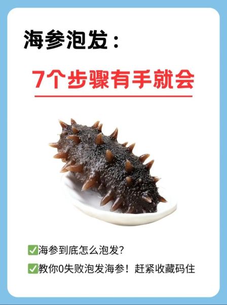 鲜海参怎么处理_鲜海参怎么泡发才软-第3张图片-山城妙识
