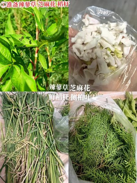 传统酒曲配方大全_如何自制酒曲-第3张图片-山城妙识