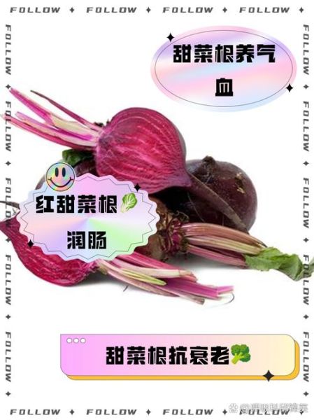 长期吃甜菜根有什么好处_甜菜根能天天吃吗-第1张图片-山城妙识