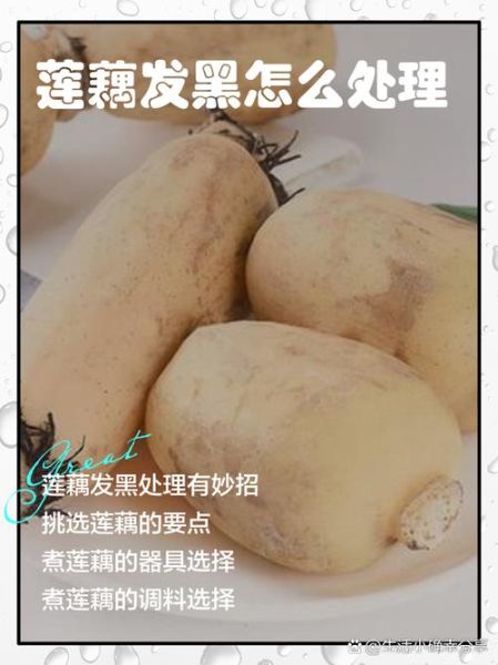 莲藕汤变黑的原因_怎么防止莲藕汤发黑-第3张图片-山城妙识
