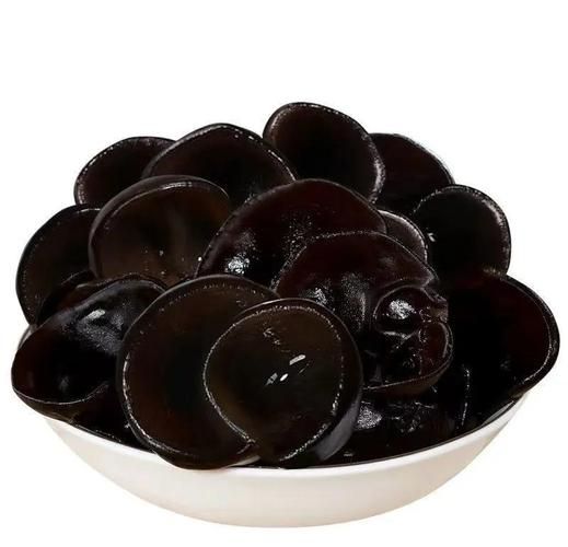 中国最好的木耳产地在哪里_如何挑选优质木耳-第3张图片-山城妙识