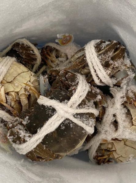 煮熟的螃蟹能放几天_冷藏还是冷冻-第2张图片-山城妙识