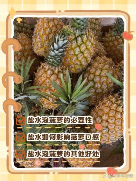 菠萝用盐水泡一晚上可以吗_盐水泡菠萝最佳时间-第3张图片-山城妙识
