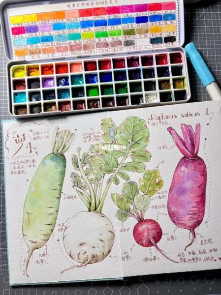 萝卜的结构名称图解_萝卜各个部位叫什么-第2张图片-山城妙识