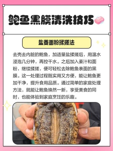 鲍鱼怎么杀_鲍鱼怎么清洗才干净-第1张图片-山城妙识