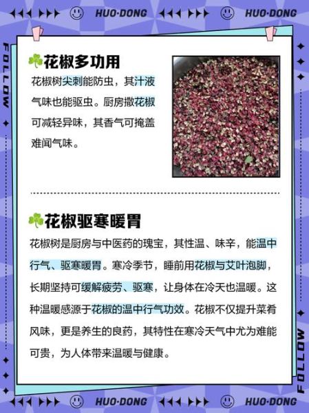 花椒治痔疮真的有用吗_花椒治痔疮的正确用法-第3张图片-山城妙识